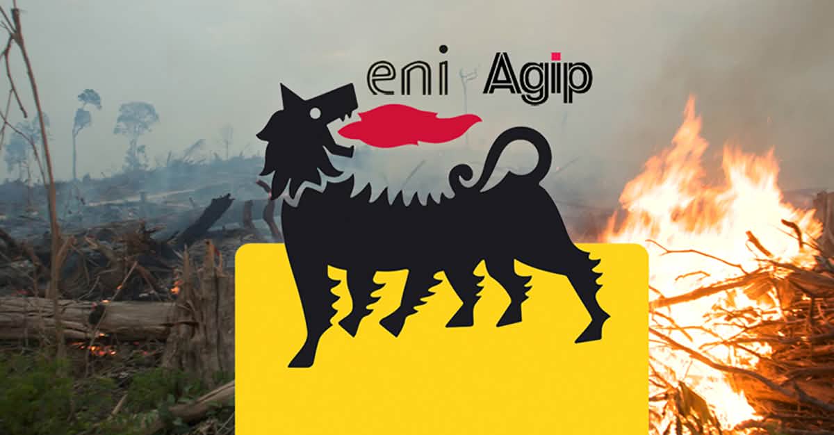 180 mil hectares de floresta ameaçados por petroleira - Salve a ...