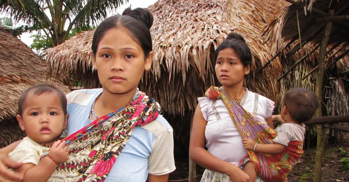 Filipinas: a floresta vale mais do que óleo de palma - Salve a Floresta ...